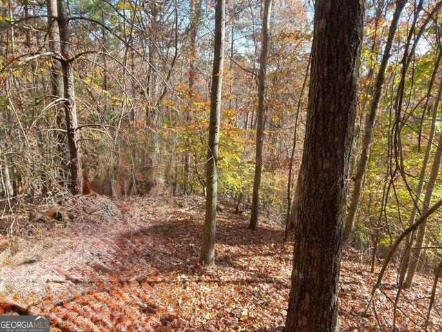 Hyalite Rd W, Dahlonega, GA 30533