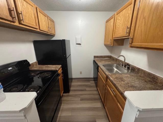 Hyde park looking for roommate