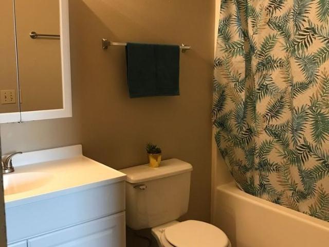 Hyde Park Townhomes & Apartments 2 Bedroom Apartment for Rent at 1000 Cooper Dr N, Columbia, MO 65201