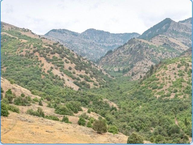 Hyde Park, UT 84318