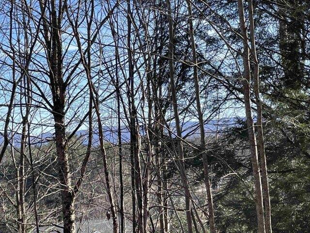 Hyde Park VT 05655 104513657