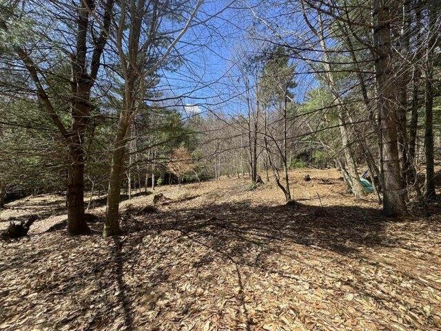 Hyde Park VT 05655 102726458