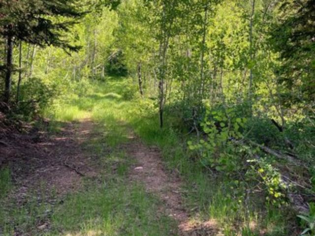 Hyrum, UT 84319
