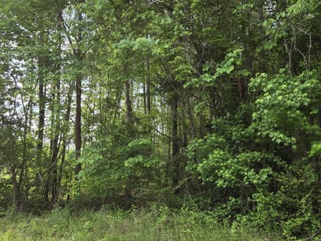I1035A Tutelo Rd, Warrenton, NC 27589