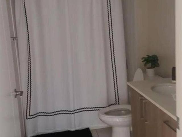 I am looking for a roommate
