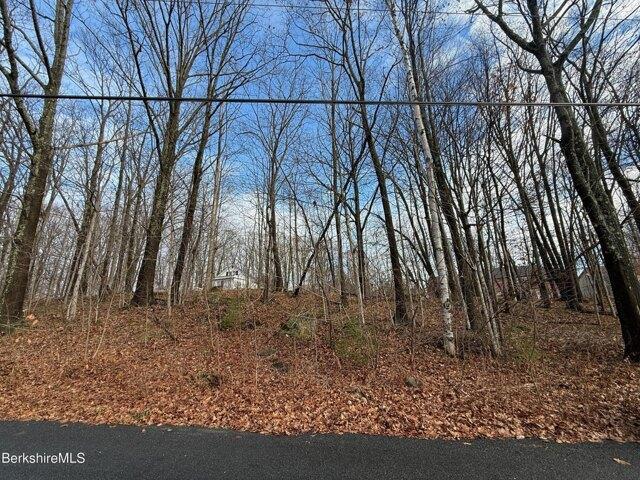 I Brown St, Pittsfield, Plot For Sale