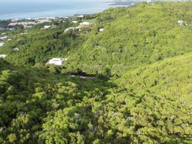 i D Bellevue Co, Saint Croix, Plot For Sale