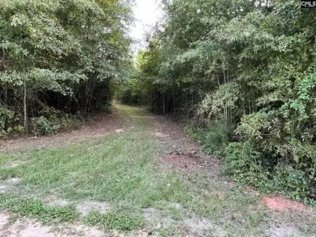 i RVING ROAD, MONETTA, SC 29105 Vacant Land For Sale MLS# 592.