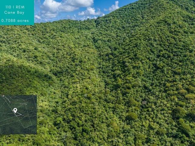 i Rem Cane Bay Nb, Saint Croix, Plot For Sale
