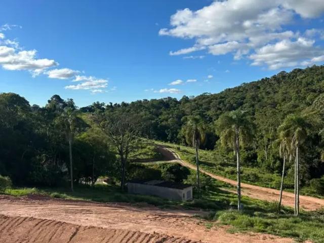 Seu novo estilo de vida começa aqui – Lote 500m² no Flamboyant