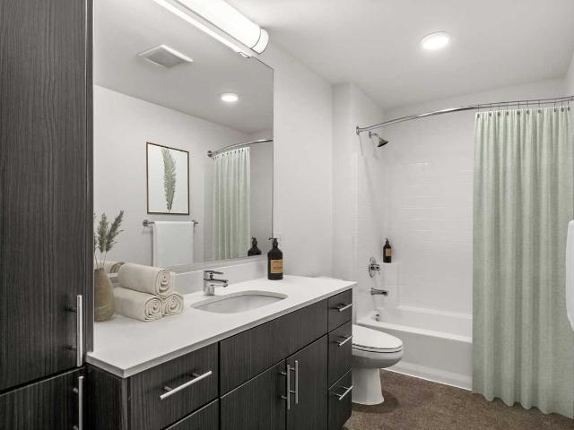 Icon Apartments 1 Bedroom Apartment for Rent at 400 S Jackson St, Seattle, WA 98104 International District