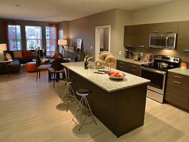 ICON Residences at The Rotunda 1 Bedroom Apartment for Rent at 727 W 40th St, Baltimore, MD 21211 Hampden