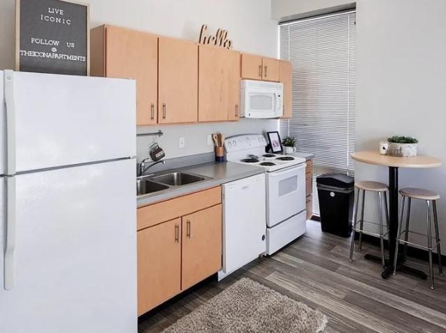 Icon 2 Bedroom Apartment for Rent at 374 S Grand Blvd, St. Louis, MO 63103 Midtown
