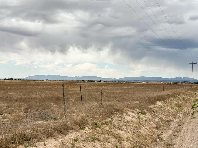 Ice Plant Road