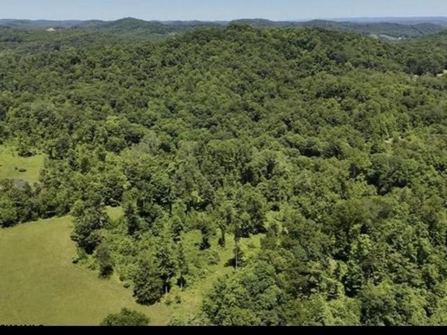 Ices Run, Fairmont, WV 26554