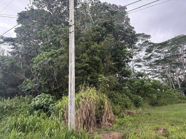 Iao St, Pahoa, HI 96778
