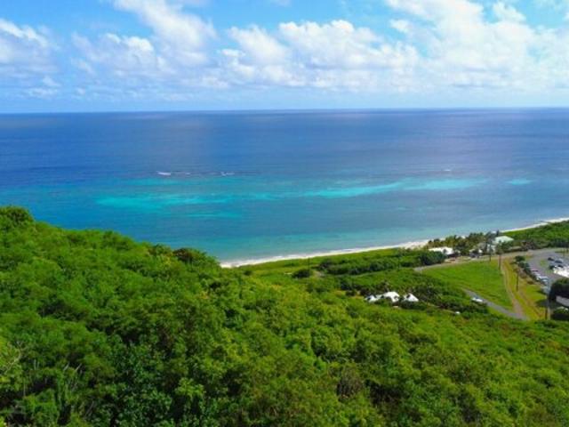 Ib Id Teagues Bay Eb, Saint Croix, Plot For Sale