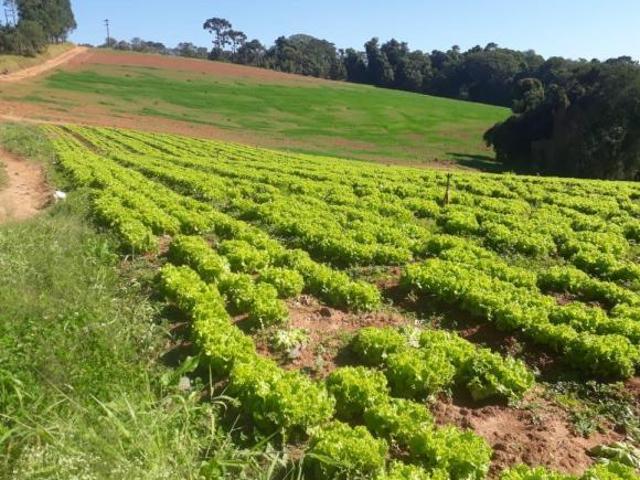 IBIÚNA  LINDA ÁREA RURAL  grandes Possibilidades Olha só: 61.000m2 Documento100%