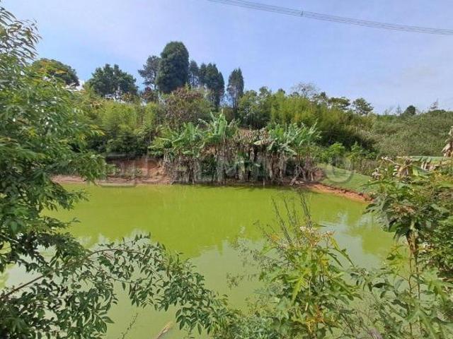 Ibiúna SP chácara com lago!