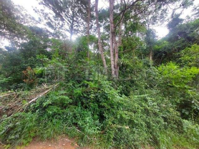 Ibiúna SP terreno com vista panorâmica!