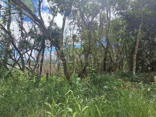 Ibiúna SP terreno com vista para a represa!