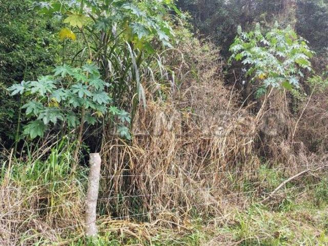 Ibiúna/SP Terreno com 3.600 m² à 50 km de SP!