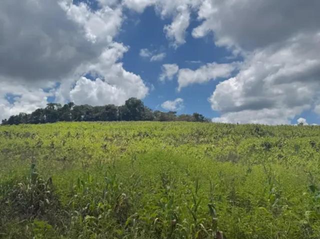 Ibiúna em Alta – Garanta Seu Lote no Interior de SP