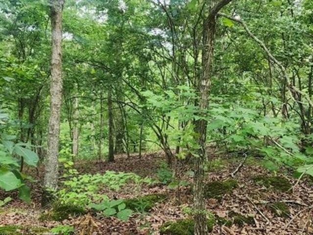 Id06 Wild Acres Rd, Holladay, TN 38341