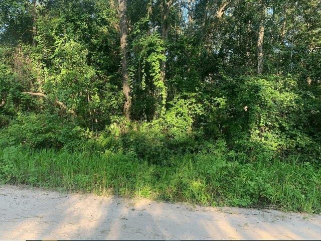 Ida Blvd, Interlachen, FL 32148