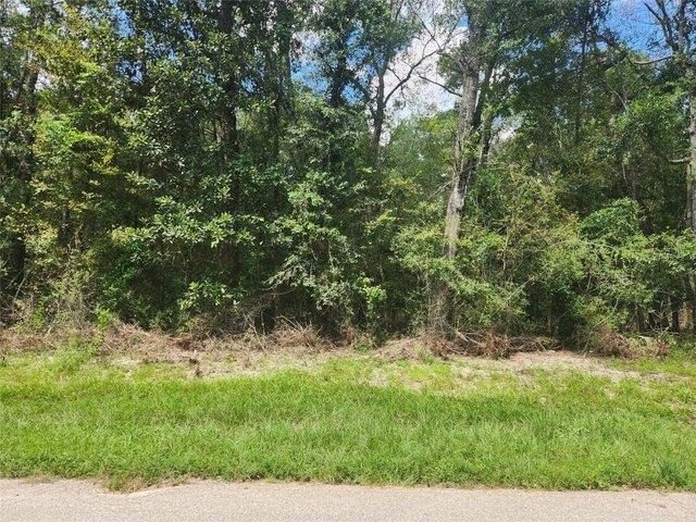 Idlewood Rdwy, New Caney, TX 77357