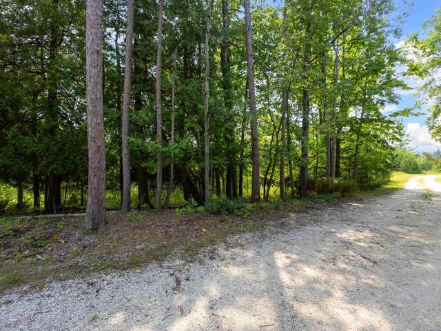 Idlewild woods drive