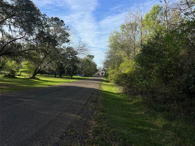 Idlewild Dr, Onalaska, TX 77360