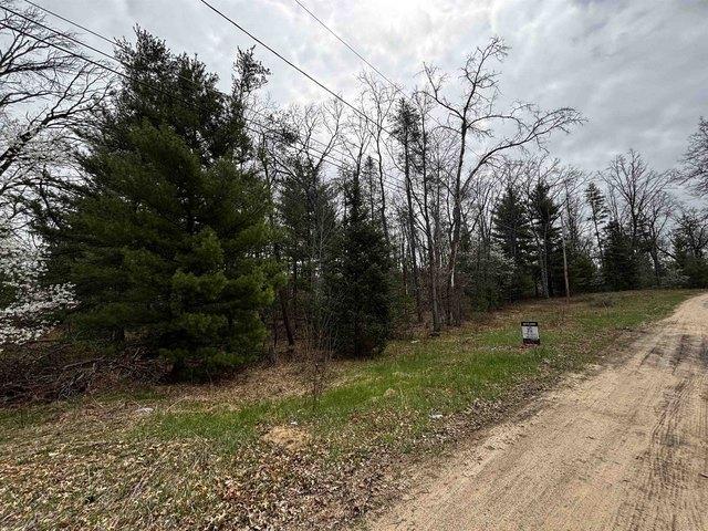 Idlewild Dr, Prescott, MI 48756
