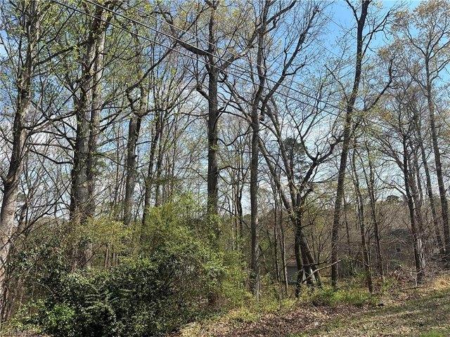 Idlewild Drive Ext, Randleman, NC 27317