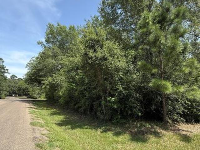 Idlewilde, Onalaska, TX 77360
