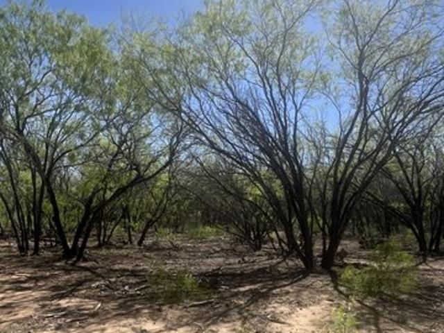 Ih 37 S Lot 1, Pleasanton, TX 78064