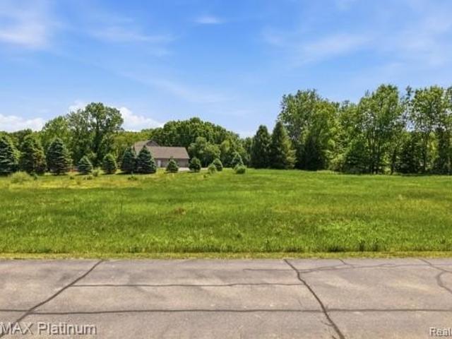 Iosco Mountain Rd E, Iosco Township, MI 48137