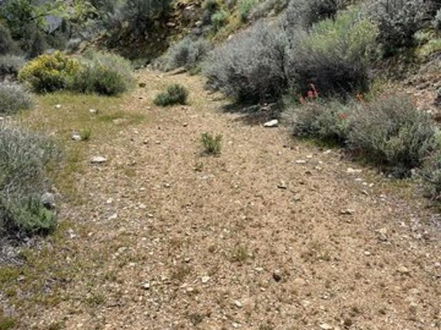Iowa Tri Lot 27, Frazier Park, CA 93225