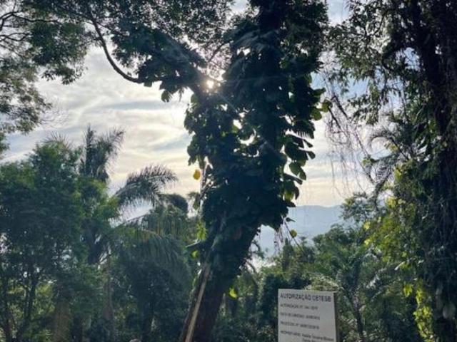Ilhabela terreno Feiticeira 786m2