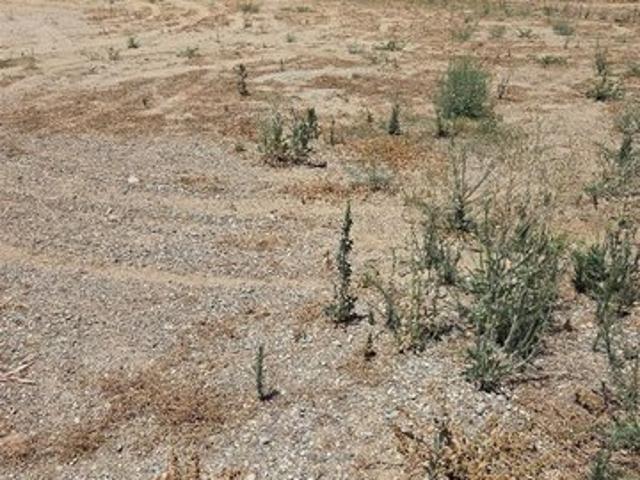 Illinois, Lake Elsinore, CA 92530