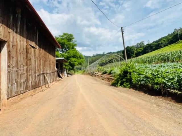 Imóvel com 4 quartos no Centro, São José do Hortêncio