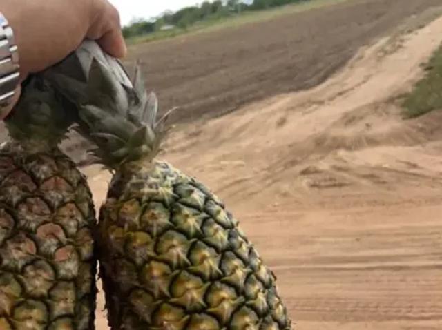 Imóvel para venda em aldeia camaragibe tem 675 metros quadrados em