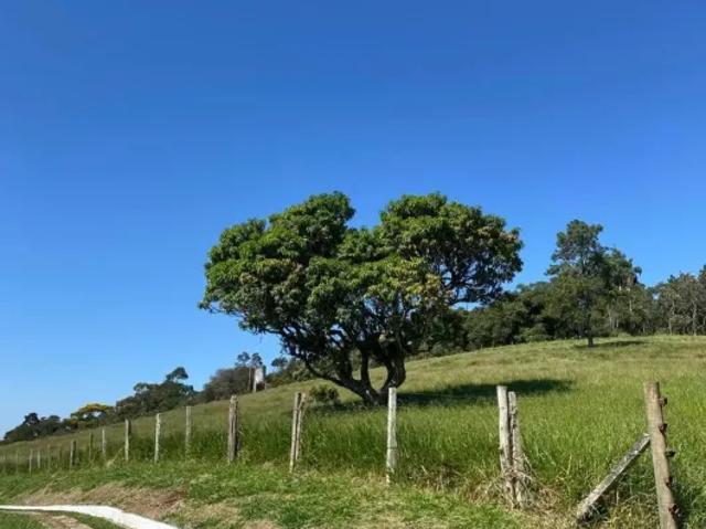 Imóvel para venda com 500 metros quadrados em Centro Ibiúna SP
