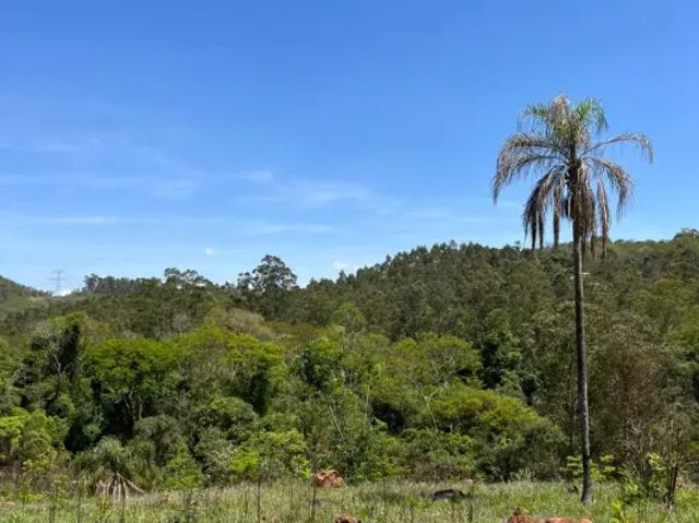 Imóvel para venda com 600 metros quadrados em Portão Atibaia SP