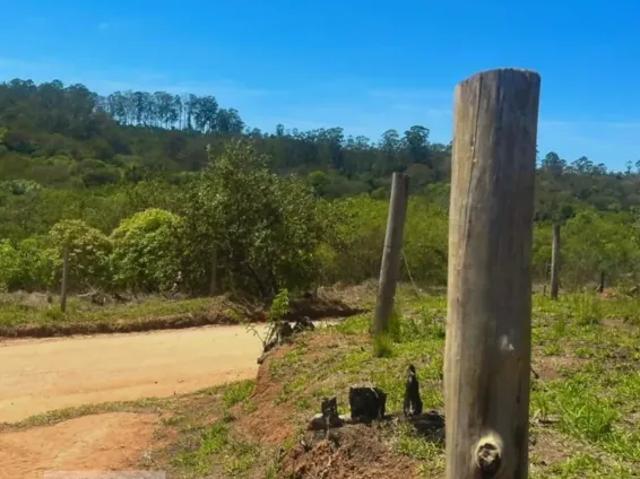 Imóvel para venda com 600 metros quadrados em Parque Paulista Francisco Morato SP
