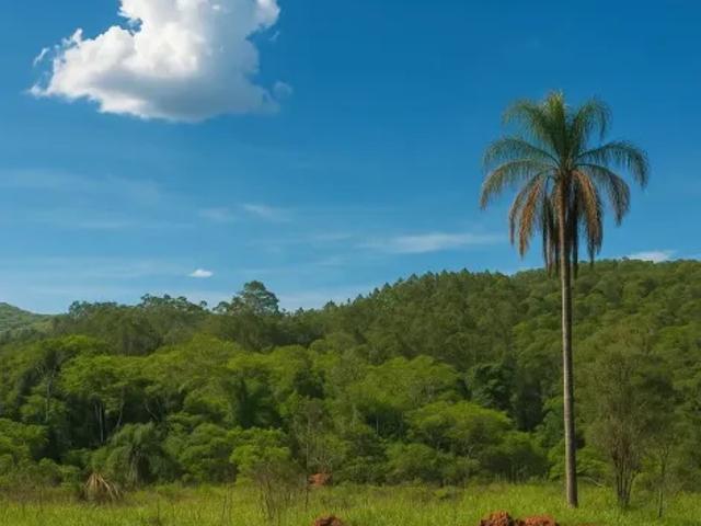 Imóvel para venda com 600 metros quadrados em Terra Preta Mairiporã SP