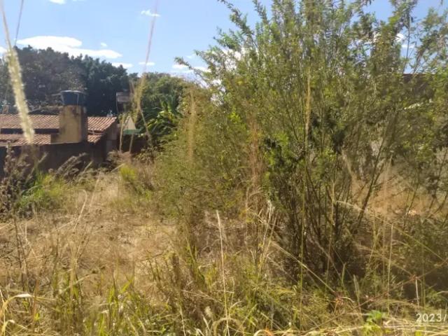 Lote Setor Faiçalville 360 metros Goiânia GO