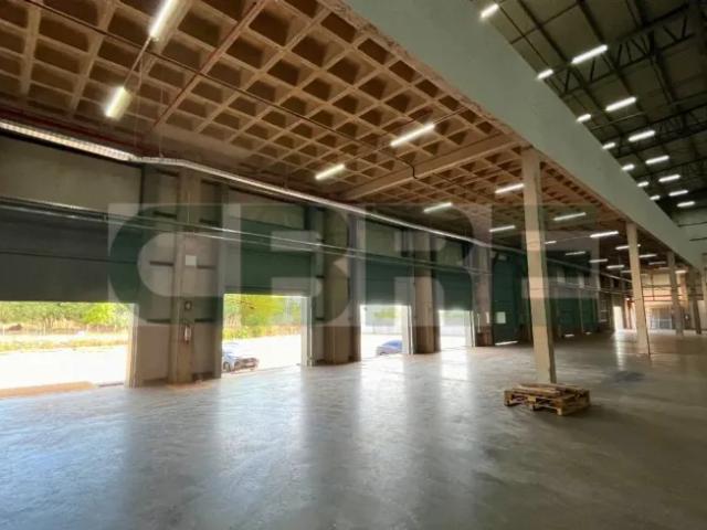 Imóvel para aluguel tem 8000 metros quadrados em Santa Maria Brasília DF