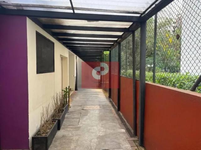 Imóvel para aluguel tem 185 metros quadrados com 6 quartos em Vila Uberabinha São Paulo SP