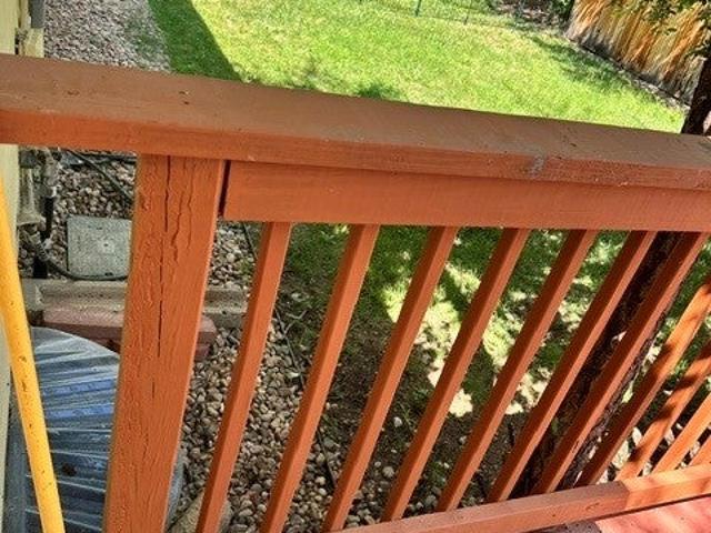 I'm looking for a female roommate